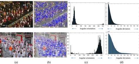 Histogram Of Angular Orientations Versus Histogram Of Angular Download Scientific Diagram