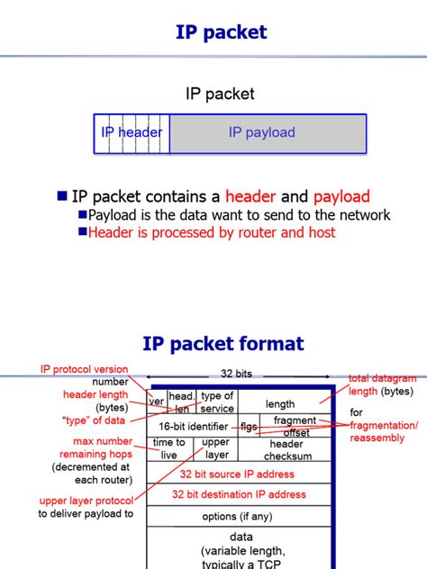 Basic Of 4 Network Layer 1 Data Plane Pdf