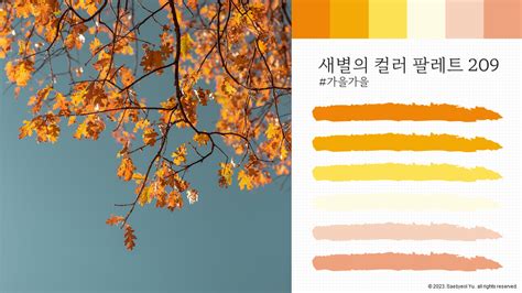 [powerpoint Color Palette Free Download] 새별의 컬러 팔레트 209 가을가을 Saebyeols Powerpoint Color Palette