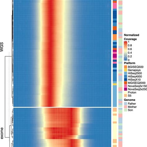 Normalized Genomic Coverage Heatmap Showing The Distribution Of Read Download Scientific