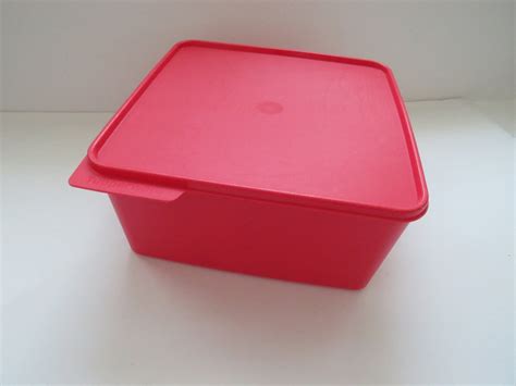 Tupperware Large Square Container 8 5 Inch Watermelon Square 2 Piece Plastic Food Storage