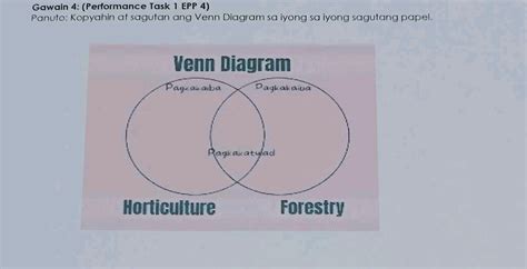 Gawain Performance Task EPP Panuto StudyX