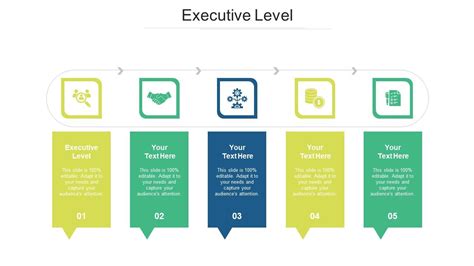 Executive Level Ppt Powerpoint Presentation Infographic Template