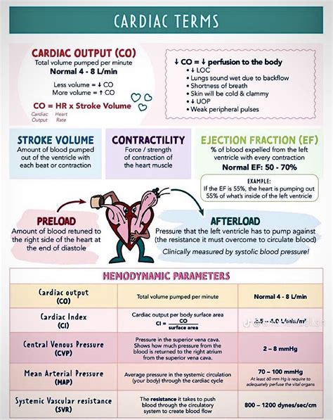 Knowledge Cardiac Terms🫀 Ecg Ekg Cardiology