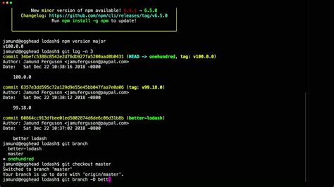 Npm Install From Github Branch Shippsado
