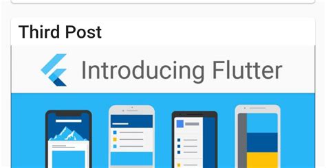 flutter wordpress api mobile application development