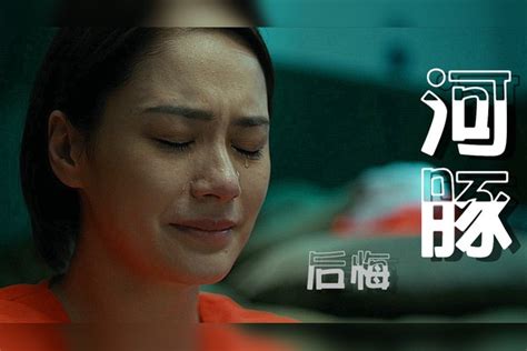 河豚只因为一个误会做出了错误的举动得知真相后悔不当初