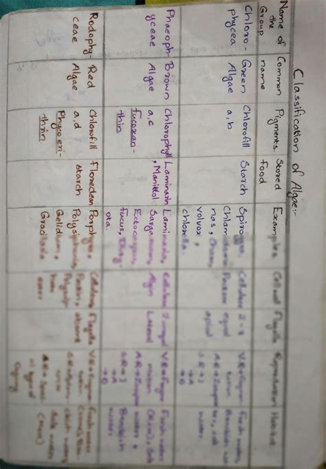 Solution Classification Of Algae Botany Plant Kingdom Studypool