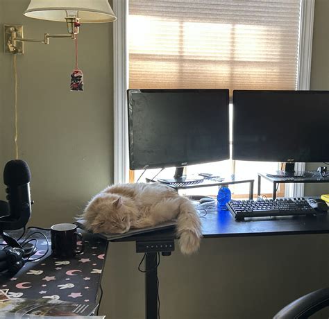 Walnut Brain Keeping Me Company Album On Imgur