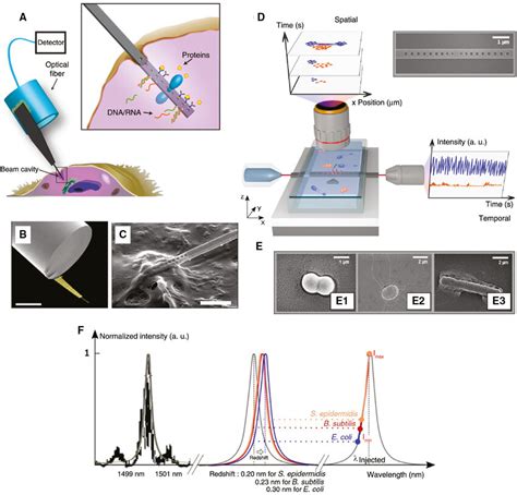 A Single Molecule Biosensor Comprising Self Assembled Silver