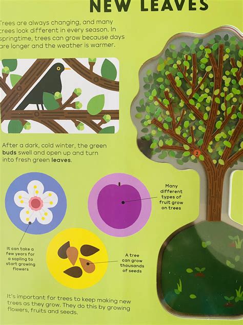 See Through The Tree Book By Hannah Alice Nosy Crow