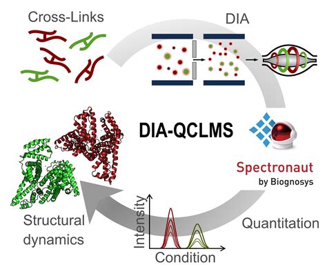 Data Independent Acquisition Improves Quantitative Cross Linking Mass Spectrometry Rappsilber