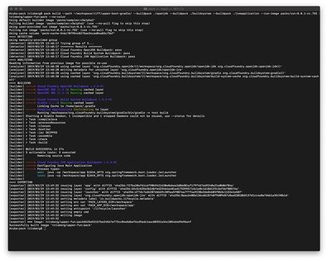 The No Color Flag Doesnt Apply To The Buildpack Log Output In