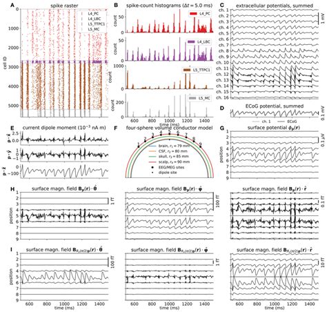 intra and extracellular measures of activity in example network a download scientific