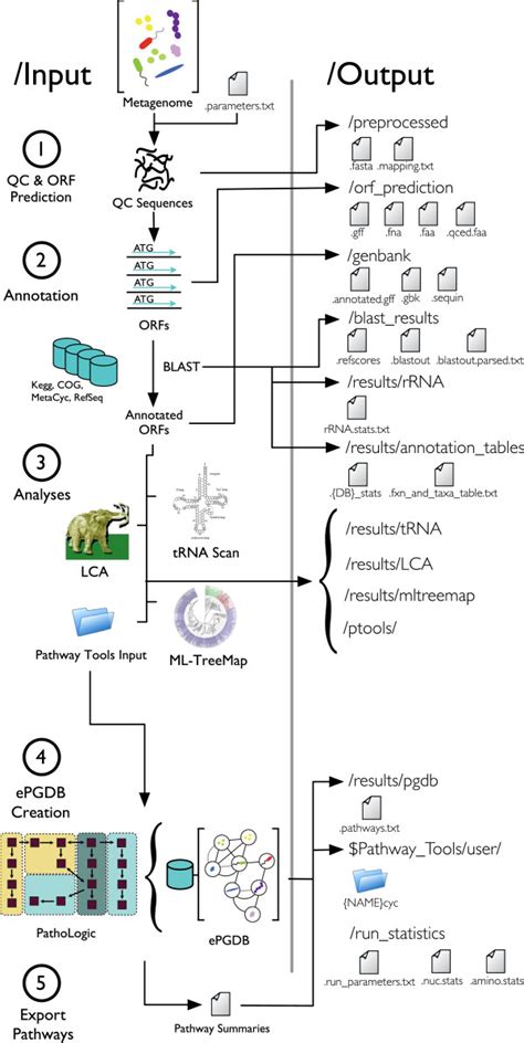 The Metapathways Pipeline Consists Of Five Operational Stages Including