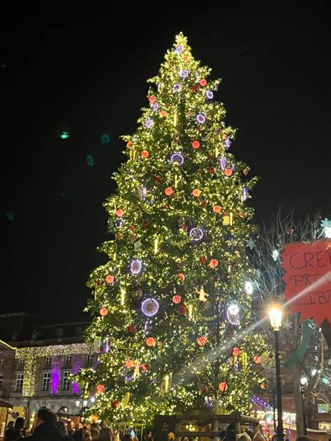 파리 근교 당일치기 스트라스부르 여행 크리스마스마켓 맛집 등 네이버 블로그