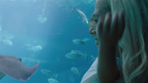 Vídeo De Arquivo Premium Mãe Em Criança No Aquário Olhando Para Belos Peixes Nadando No Tanque