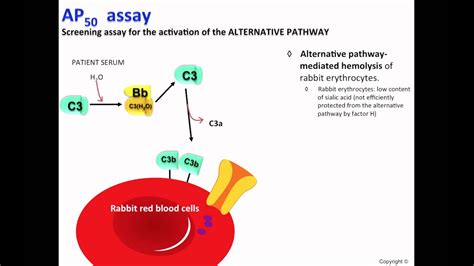 clinical assessment of complement system ch50 and ap50 youtube