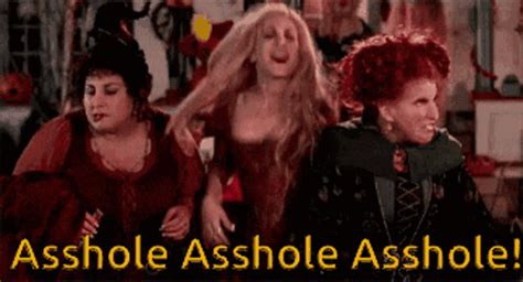 Asshole  Asshole Discover And Share S