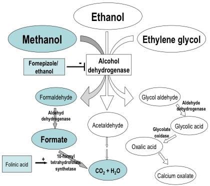 Acidosis And Alcohol
