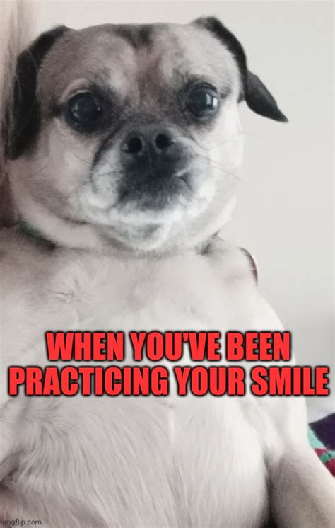 Forced Smile Imgflip