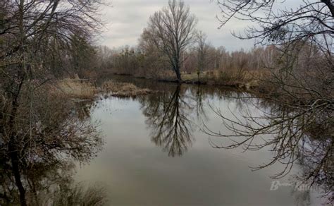 Рівень Дніпра в межах Києва піднявся до максимуму з початку 2024 року Вечірній Київ