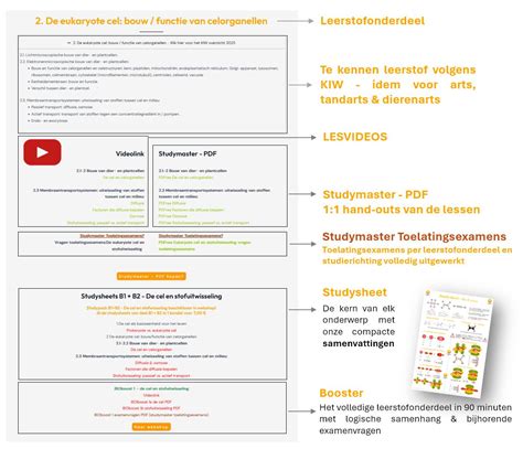 7 Menselijke Voortplanting Science By Stars