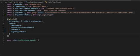 Template Error When Using Version 202 · Issue 240 · Mawi137ngx Image Cropper · Github