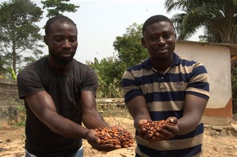 Chocolate Day Ghanas Antidote To Sexual Immorality Vice Versa Global