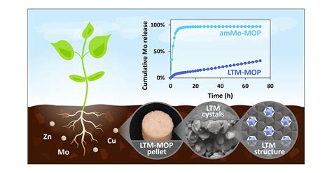 Layered Transition Metal Molybdates As New Slow Release Micronutrient Fertilizer Matrices For Zn