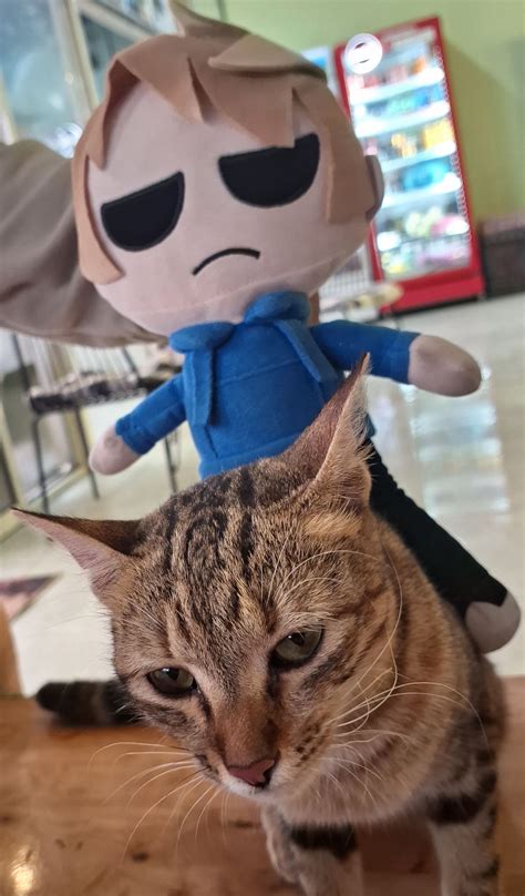 Tom Eddsworld