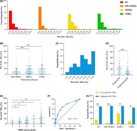 Distributions Of Pre‐nac Tils And Associations With Pathological