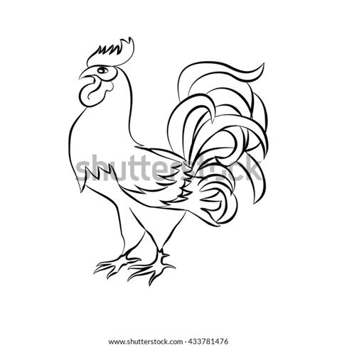 Black Sketch Drawing Cock On White Stock Vector Royalty Free
