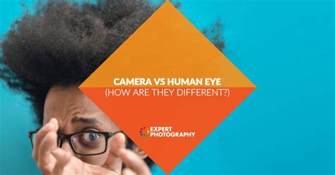 Camera Vs Human Eye What Is The Human Eye Dynamic Range Human Eye