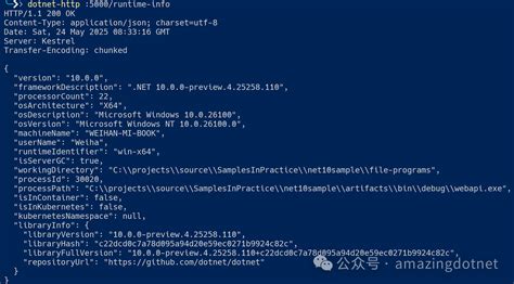 你好 Dotnet Run File 再见 Csproj 码坊