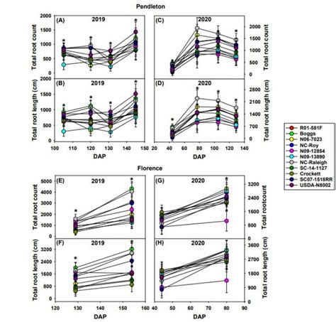 How The Root System Affects Yield CID Bio Science