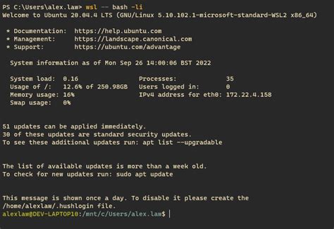 Goneovim Opens And Closes Instantly In Wsl · Issue 414 · Akiyosi