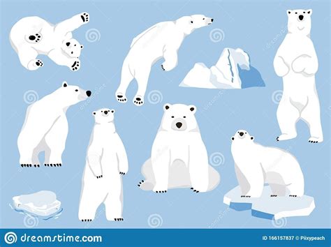 Шаблон белого медведя 65 фото