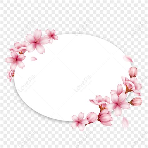 타원형 봄 일러스트 분홍색 벚꽃 테두리매화식물의 Png 일러스트 무료 다운로드 Lovepik
