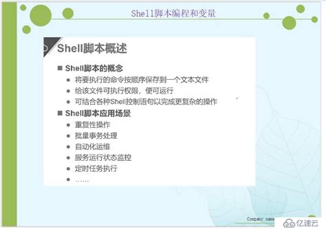 Shell脚本中编程和变量的示例分析 云计算 亿速云