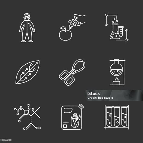 과학 개발 분필 아이콘 세트입니다 생명 공학 장비 실험 방법론 실험실에서 작업 자연을 변화시다 유기 화학 연구 절연 벡터 칠판 그림 개념에 대한 스톡 벡터 아트 및 기타