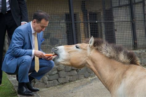 Гадаад харилцааны сайд Д Цогтбаатарын айлчлал өндөрлөжээ