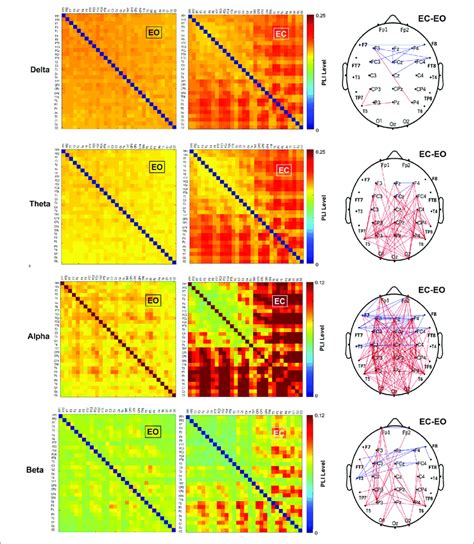 The Pooled Adjacent Matrix Of The Phase Lag Index Pli Of Download Scientific Diagram