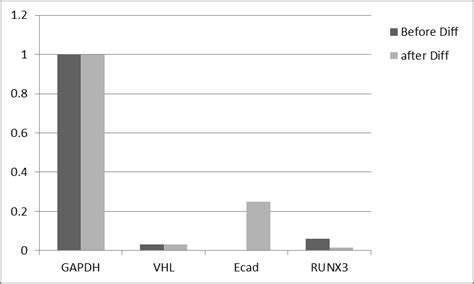 normalized values of gene expression for vhl ecad and runx3 genes