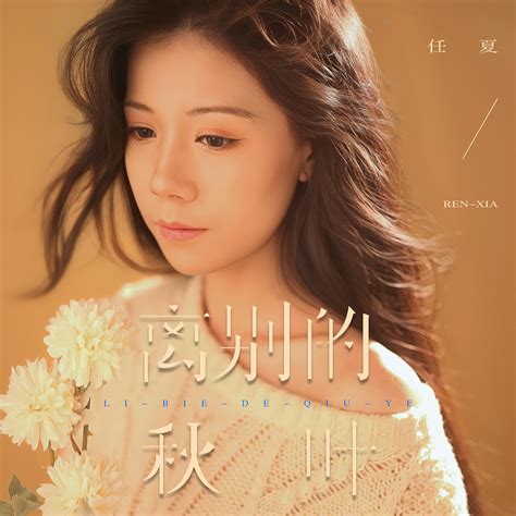 离别的秋叶任夏高音质在线试听离别的秋叶歌词歌曲下载酷狗音乐