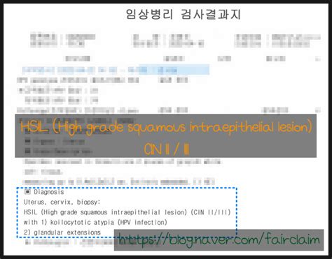 상세불명의 자궁경부의 이형성n879 Cin Ii Iii 제자리암 진단비 수술비 지급 받은 사례 네이버 블로그