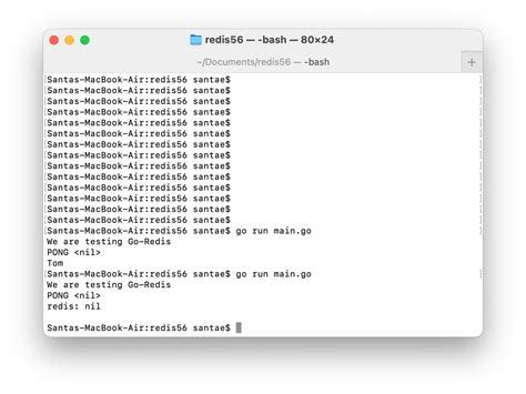 How To On Using Redis As A Database For Golang Projects