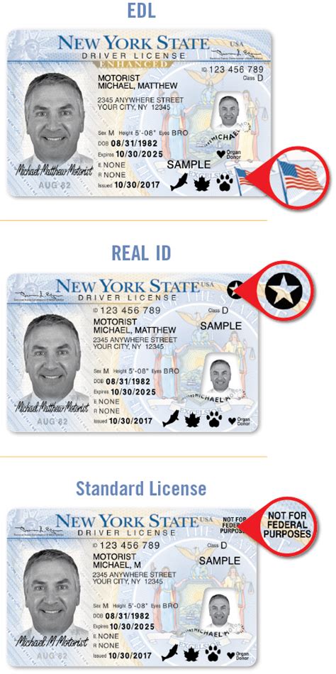 Are You Ready For Real Id Requirements The Travel Team