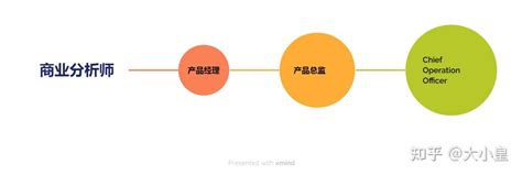 商业分析师ba 职业规划知多少？ 知乎