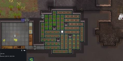 Best Base Building Tips For RimWorld